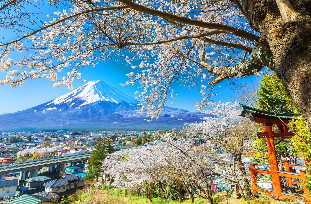 Mount Fuji, Arakurayama Park, Oshino Hakkai, and Lake Kawaguchiko Bus ...